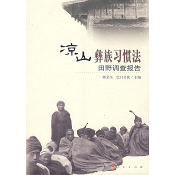梁山彝族习惯法 陈金全