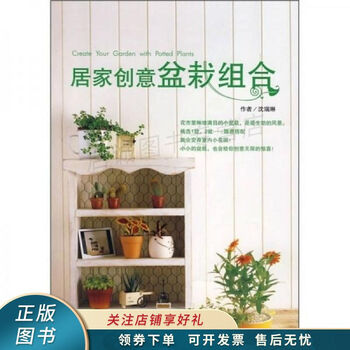 居家创意盆栽组合