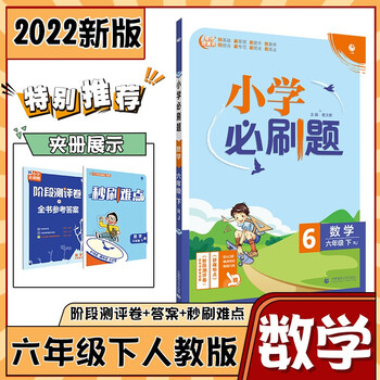 小学必刷题六年级下册 数学人教版