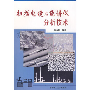扫描电镜与能谱仪分析技术