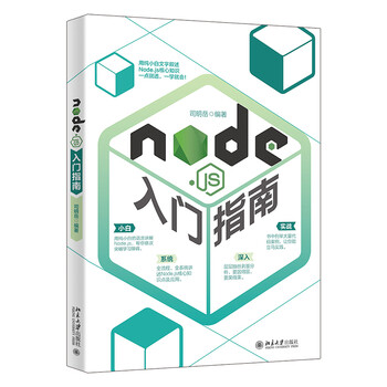 Node.js入门指南 图书