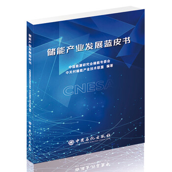 储能产业发展蓝皮书