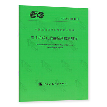 T/CECS 596-2019 灌注桩成孔质量检测技术规程