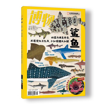 博物 2022年5月号 本期主题鲨鱼 中国国家地理青春少年版博物君式科普百科期刊 京东自营