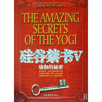 硅谷禁书(Ⅴ瑜伽的秘密)
