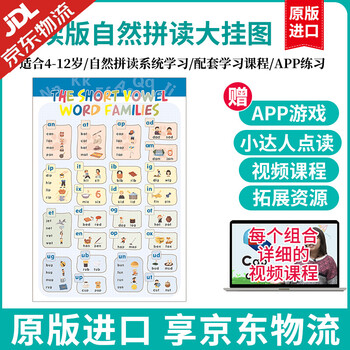 原版点读EFL Phonics自然拼读发音规则表牛津自然拼读教材配套挂图1-5级别初级启蒙英语入门表 2级别挂图