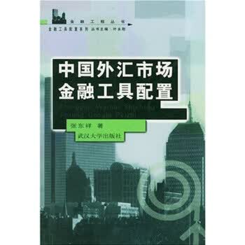 中国外汇市场金融工具配置【正版图书】