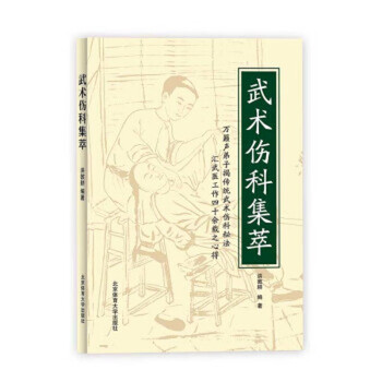 武术伤科集萃 洪敦耕 北京体育大学出版社