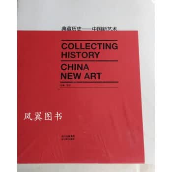 中国新艺术  典藏历史 吕澎 四川美术出版社