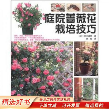庭院蔷薇花栽培技巧
