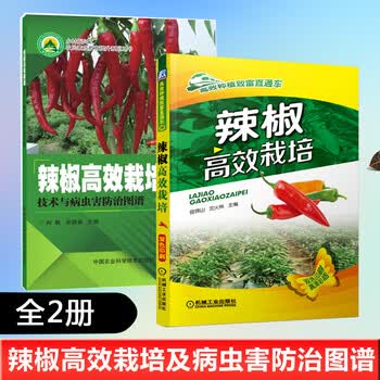 【全2册】辣椒高效栽培+辣椒高效栽培技术与病虫害防治图谱 辣椒种植从入门到精通辣椒虫害防治方法辣椒育苗技术辣椒种植技术大全