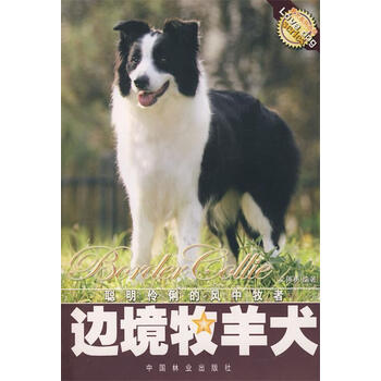 边境牧羊犬 文俸勇　编著【正版书】