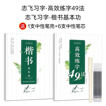 控笔训练字帖志飞习字行书秘籍49法硬笔楷书入门基础 楷书 基本功49法共2本 赠1笔6芯