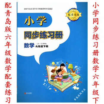 2021六三制青岛版小学同步练习册数学六年级下册青岛出版社六年级