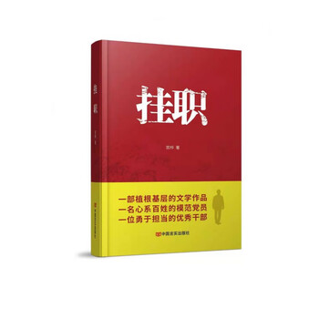 挂职 宫桦著 中国言实出版社 9787517138648