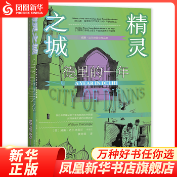 精灵之城：德里的一年