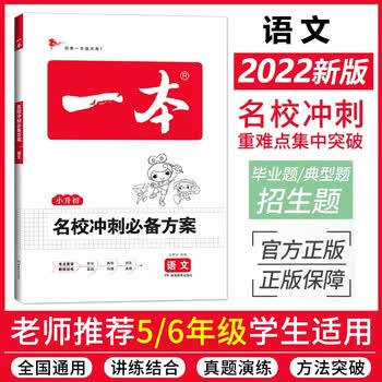 2022开心教育一本小升初语文 名校冲刺方案 小升初毕业升学语文总复习小考真题