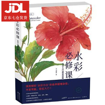 水彩必修课 冰儿萧萧 9787539493473