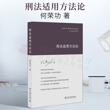 2022新书 刑法适用方法论