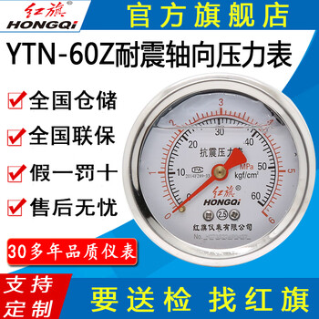 红旗牌仪表YTN-60Z/YN-60Z抗震耐震轴向压力表充油压力表真空表 0~1.6MPa【图片 价格 品牌 报价】-京东