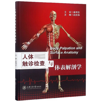 人体触诊检查与体表解剖学