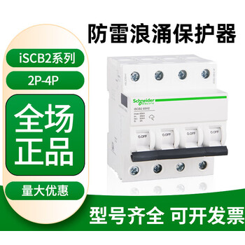 原装施耐德后备保护器 40H2 65H2 20N2 ISCB1 15L1 浪涌配套 2P ISCB2 20N2【图片 价格 品牌 报价】-京东