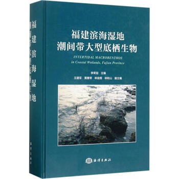 福建滨海湿地潮间带大型底栖生物