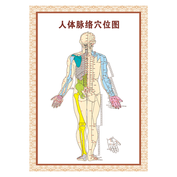 中医宣传画挂图中药配伍禁忌歌十八反十九畏歌脊柱图墙贴画WSA WSA36 人体脉络穴位图 70*50厘米 覆膜防水PP贴纸