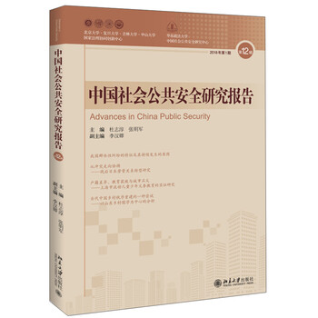 中国社会公共安全研究报告（第12辑）