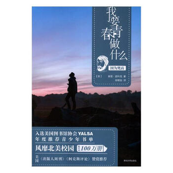 因为梵高 传记 书籍