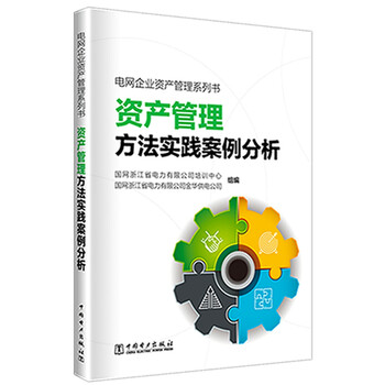 电网企业资产管理系列书——资产管理方法实践案例分析
