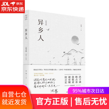 【正版图书】异乡人 沈苇 北岳文艺出版社
