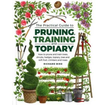 Practical Guide to Pruning, Training and Top...