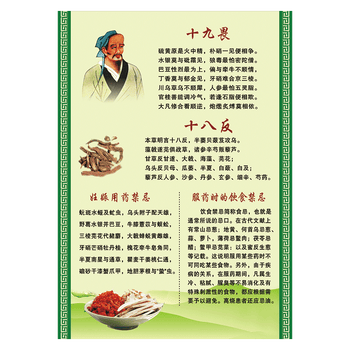 中药十八反歌十九畏歌挂图妊娠用药禁忌中医宣传画贴画WSA WSA49 十九畏十八反 40*30厘米