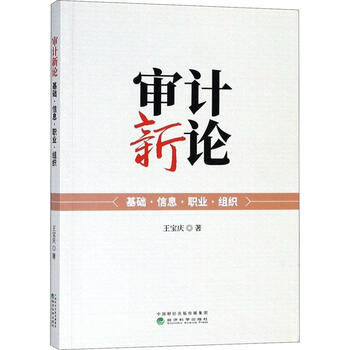 审计新论 基础·信息·职业·组织