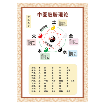 中医宣传画挂图中药配伍禁忌歌十八反十九畏歌脊柱图墙贴画WSA WSA35 中医脏腑理论 80*60厘米 覆膜防水PP贴纸