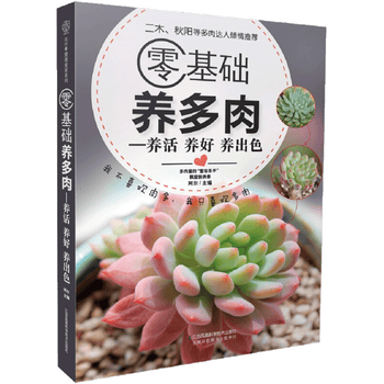 多肉书籍大全 零基础养多肉:养活养好养出色 二木推荐 多肉书多肉种植多肉养殖书籍 养护多肉