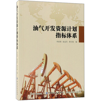 油气开发资源计划指标体系