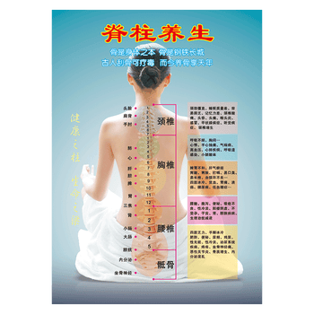 中医宣传画挂图中药配伍禁忌歌十八反十九畏歌脊柱图墙贴画WSA WSA38 脊柱养生 120*80厘米 覆膜防水PP贴纸