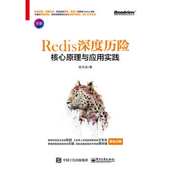 Redis深度历险(核心原理与应用实践全彩)