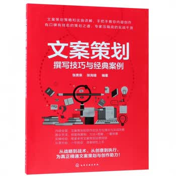 文案策划(撰写技巧与经典案例)