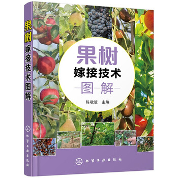 果树嫁接技术图解