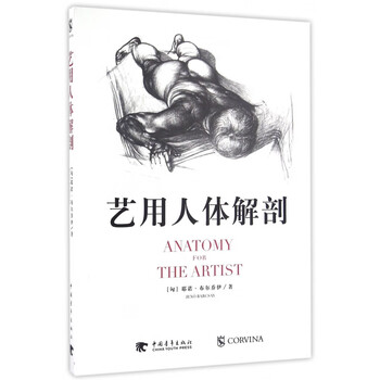 艺用人体解剖