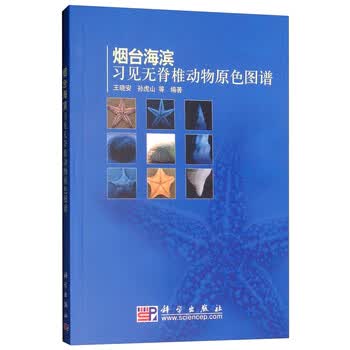 烟台海滨习见无脊椎动物原色图谱