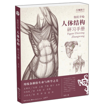 张旺手绘人体结构研习手册（古斓斑最手绘）