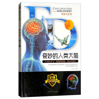 奇妙的人类大脑
