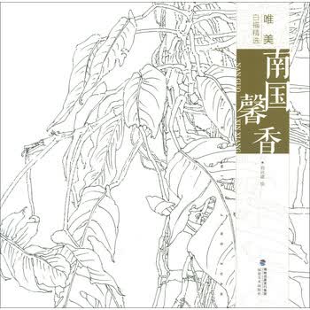 唯美白描精选.南国馨香