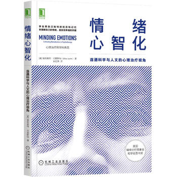 情绪心智化 连通科学与人文的心理治疗视角 图书