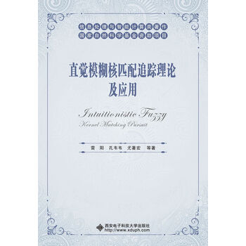 直觉模糊核匹配追踪理论及应用