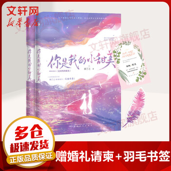 你是我的小甜美 全二册 《你是迟来的欢喜》作者顾了之甜蜜力作